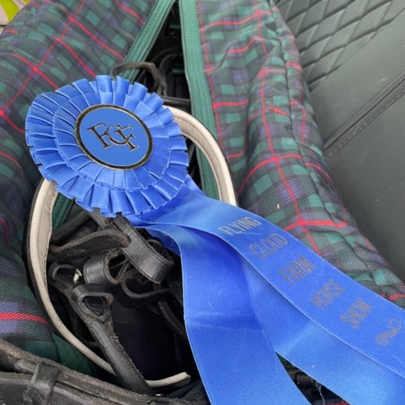 Vintage Equestrian | Accents | Blue Ribbon St Place Horse Show Satin ...
